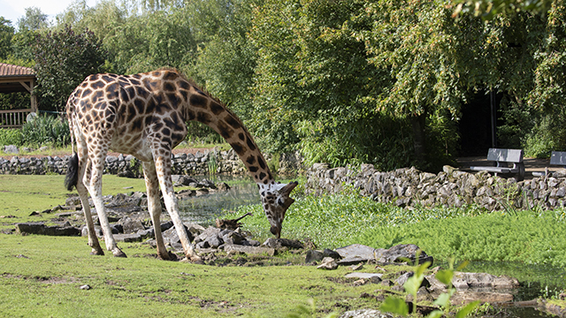 Werkweek naar Pakawi Park » Werkweek
